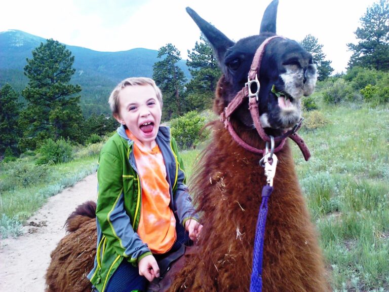 Kids Llama Rides - Kirk's Mountain Adventure